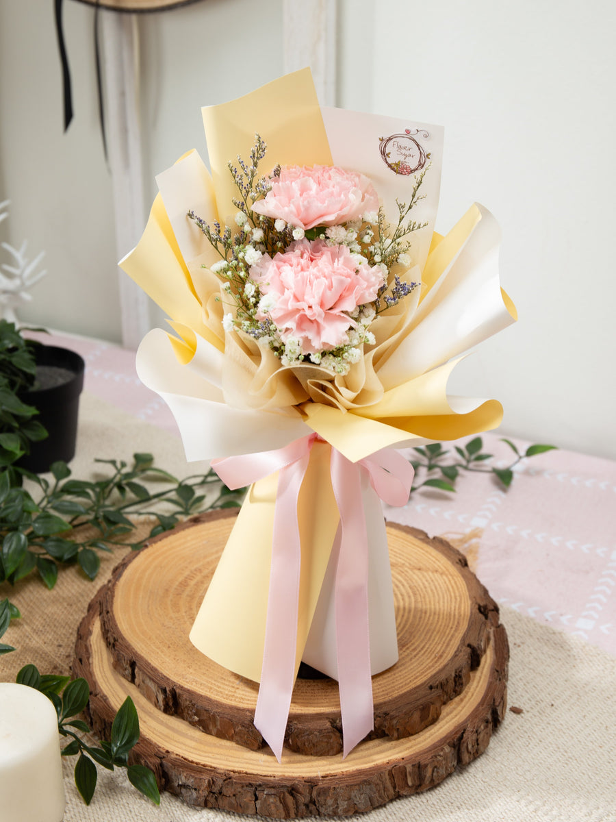 Admire Duo | Carnation Hand Bouquet With Baby's Breath (Mother's Day ...